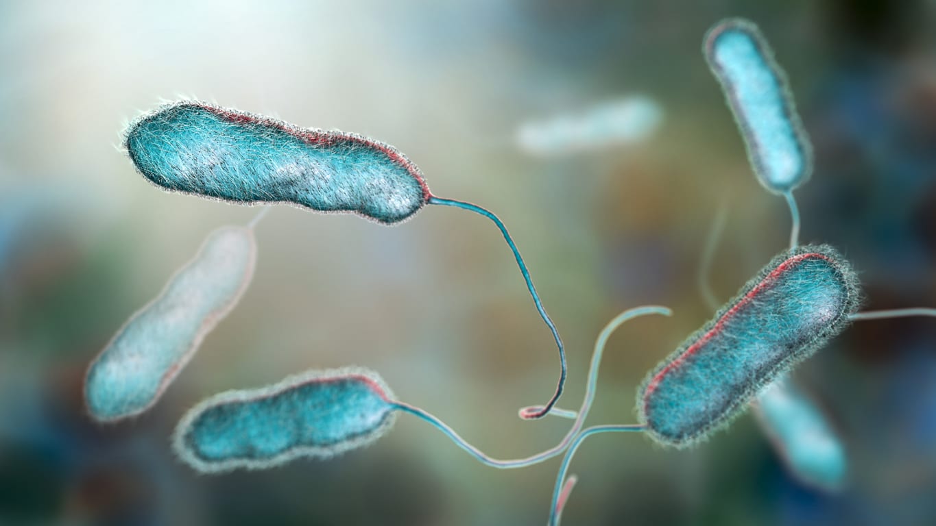 Deadly Legionnaire's Disease Outbreak Sickens 5 Seniors in Portland